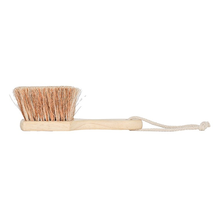 Buy Beach Products & Accessories Online| Sande Kids™